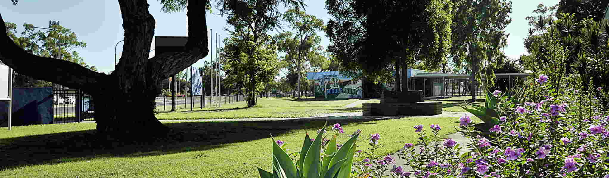 Middlemount Community School